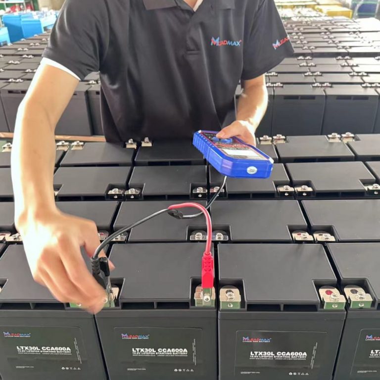 About – Leadmax Battery
